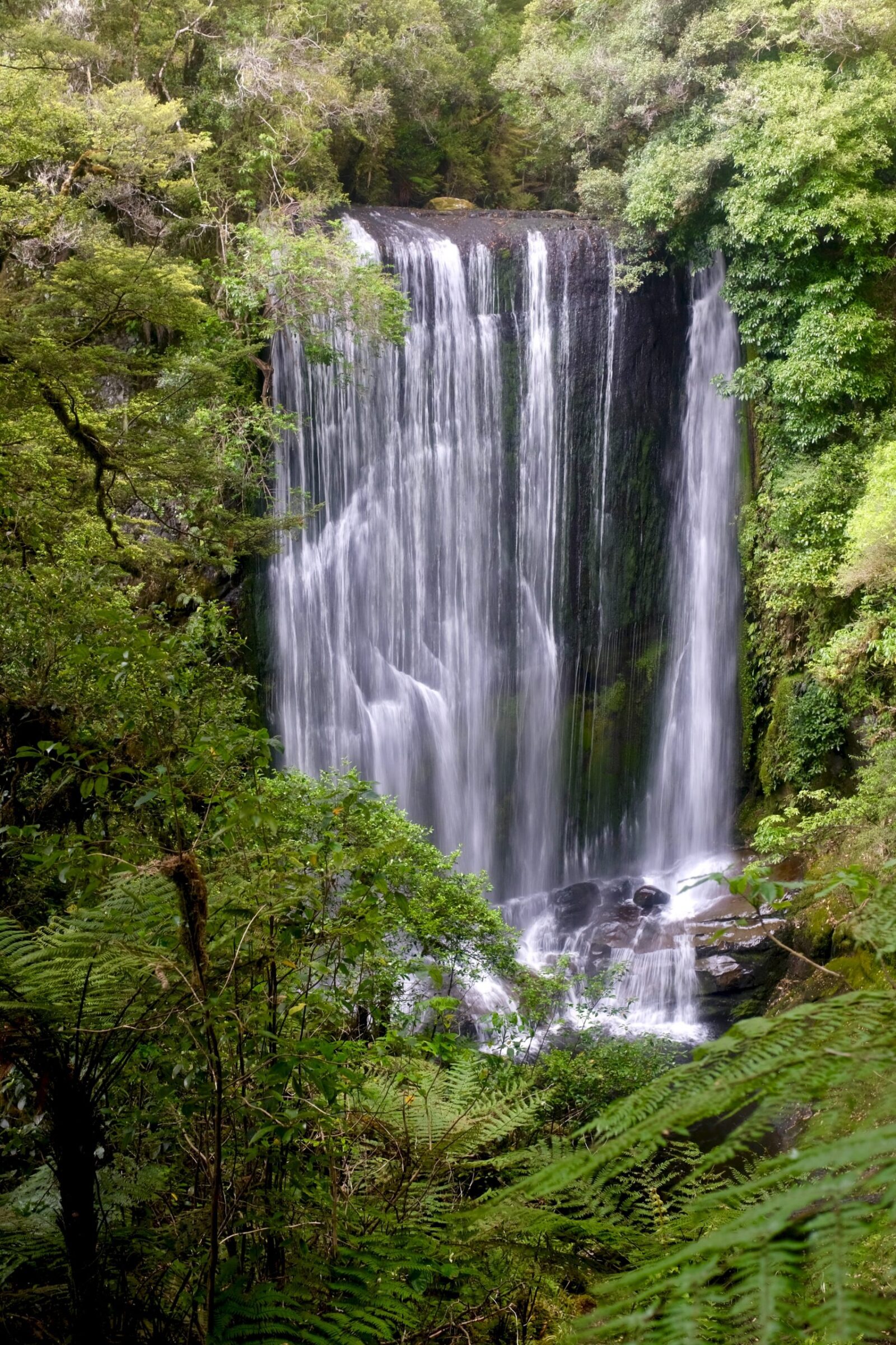 De 10 Mooiste Nationale Parken in Nieuw-Zeeland | Natuur op haar best ...