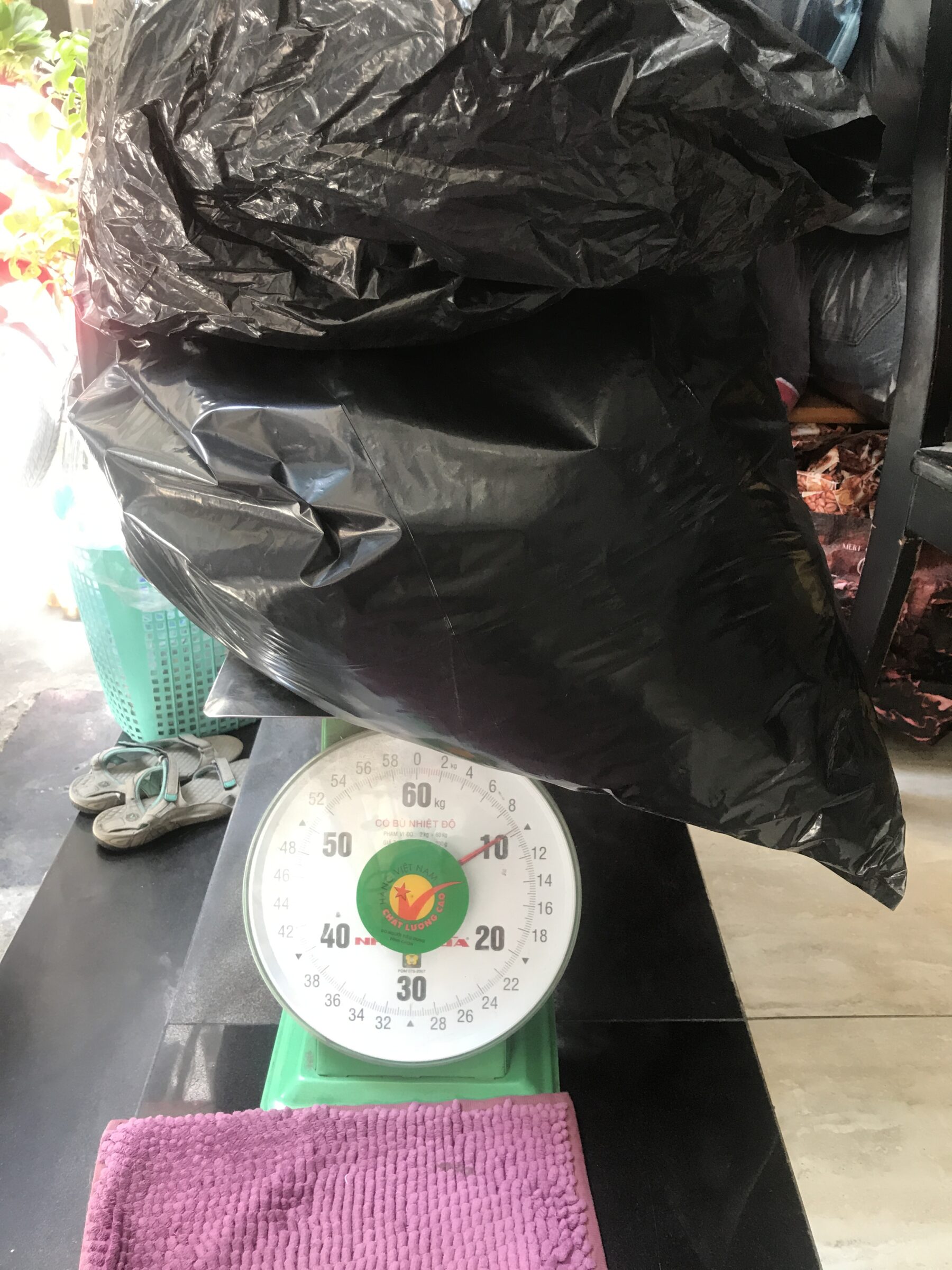 Wat is weeluise en hoe herken jy 'n byt? Wenke teen jeuk + voorkoming