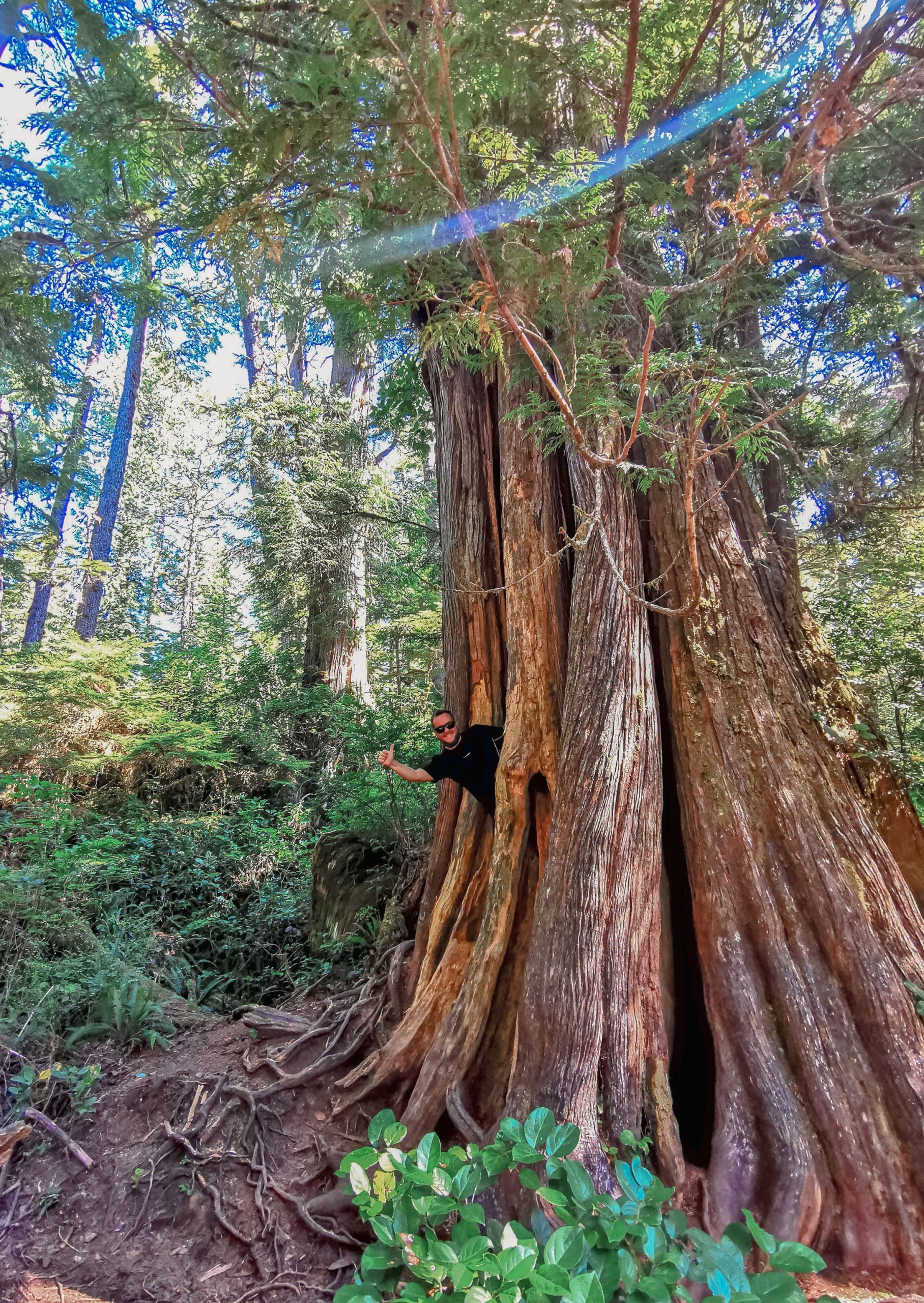 Savjeti za Nacionalni park Pacific Rim, Zapadna obala otoka Vancouver