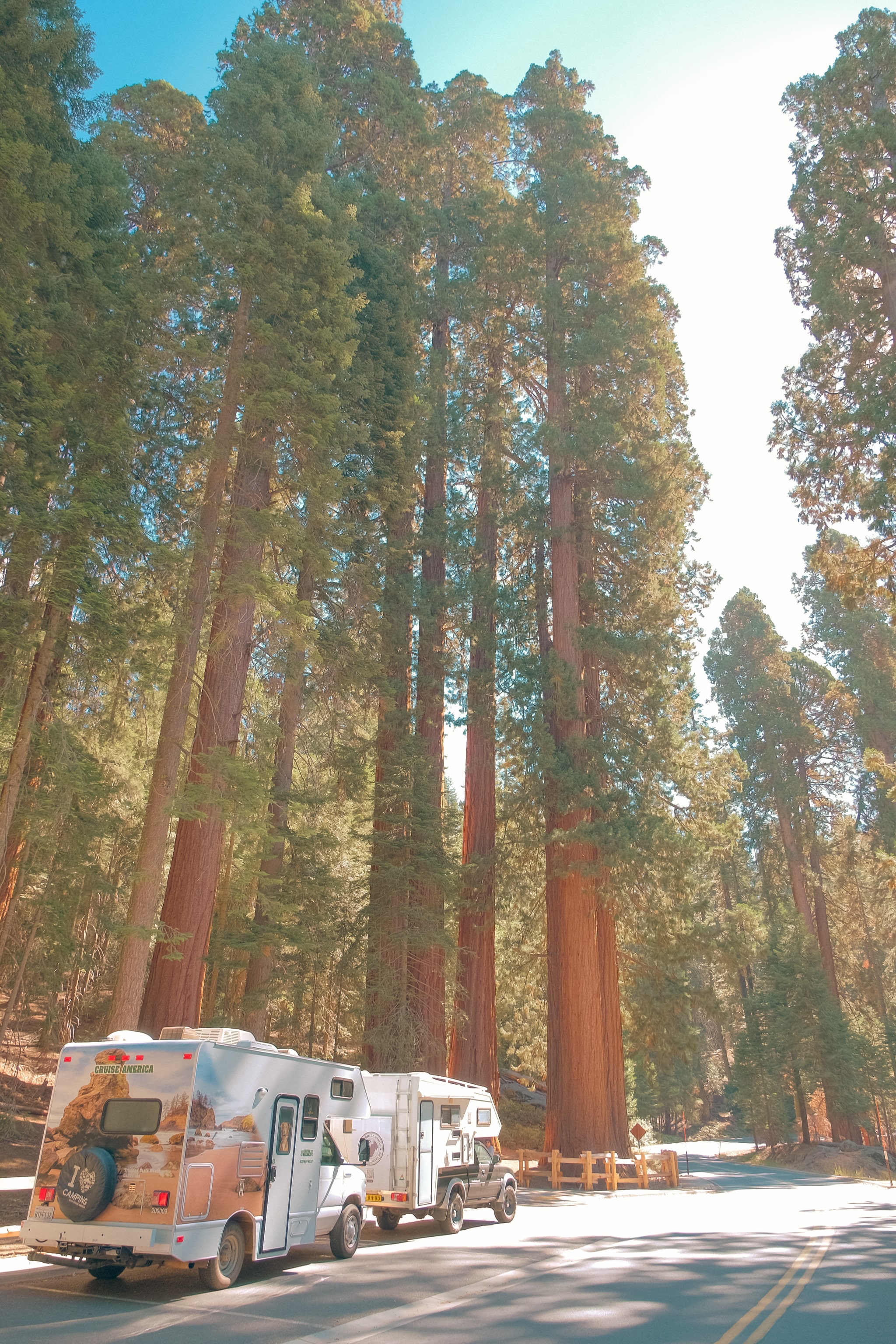 Tips voor Sequoia National Park | Wereldreizigers.nl